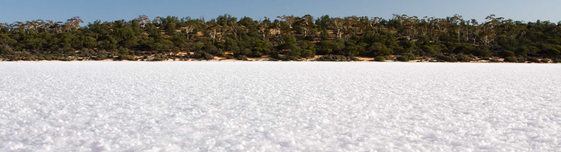 Welcome to WA Salt Group | Western Australian Naturally Harvested Salt ...