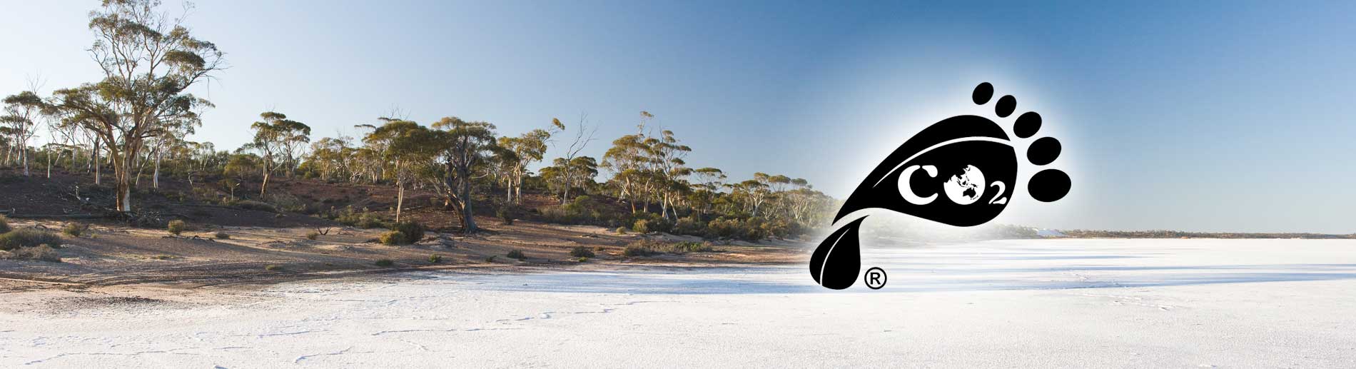 Carbon Footprint | Life Cycle Analysis | WA SALT Group