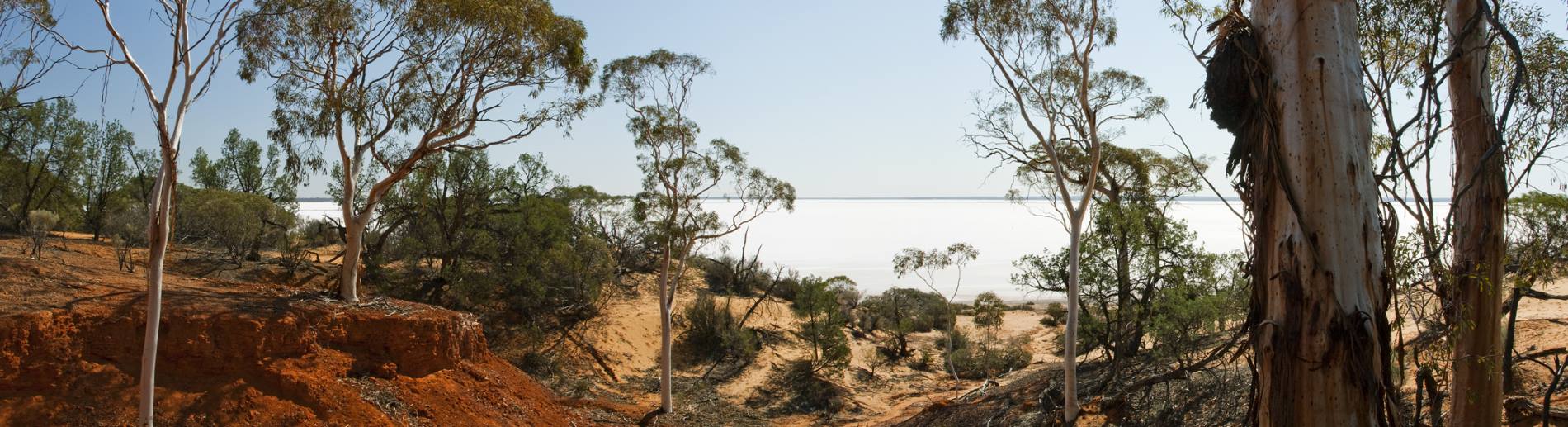 Contact Us | WA SALT Group